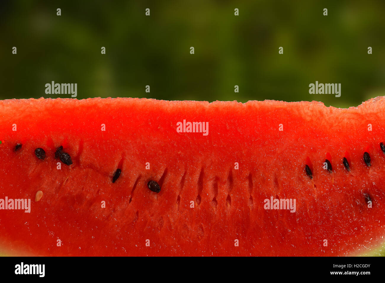 Watermelon detail hi-res stock photography and images - Alamy