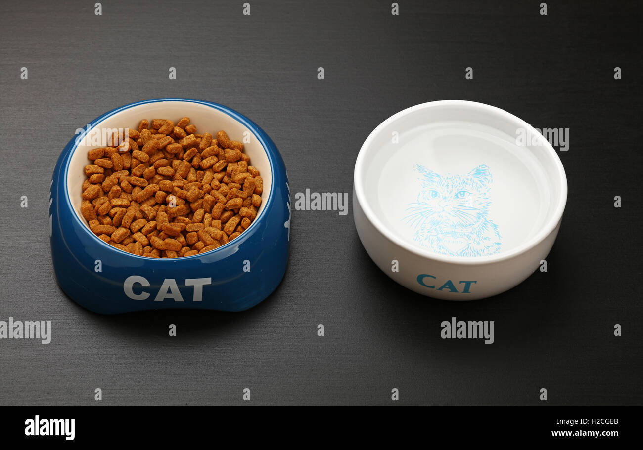 Brown dry cat food portion in blue ceramic bowl with cat word and water ...