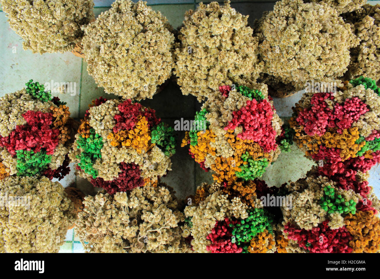 Edelweiss mountain hi-res stock photography and images - Alamy
