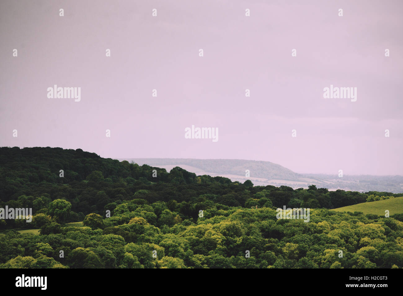 Cloudy view over the Chilterns in Buckinghamshire, England Vintage ...
