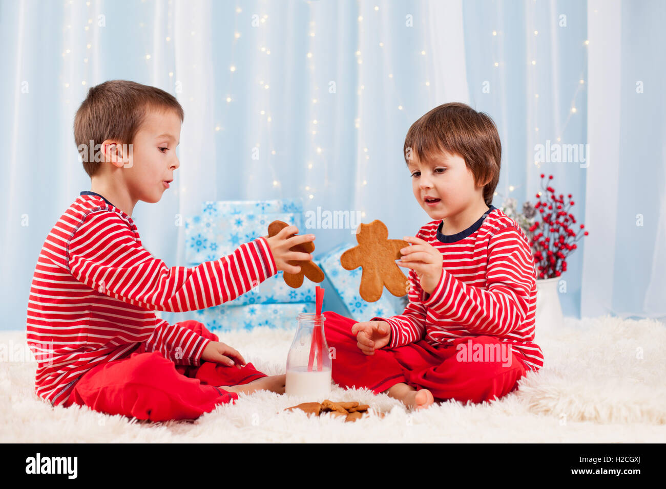 Two happy children eating cookies at christmas and drinking milk ...