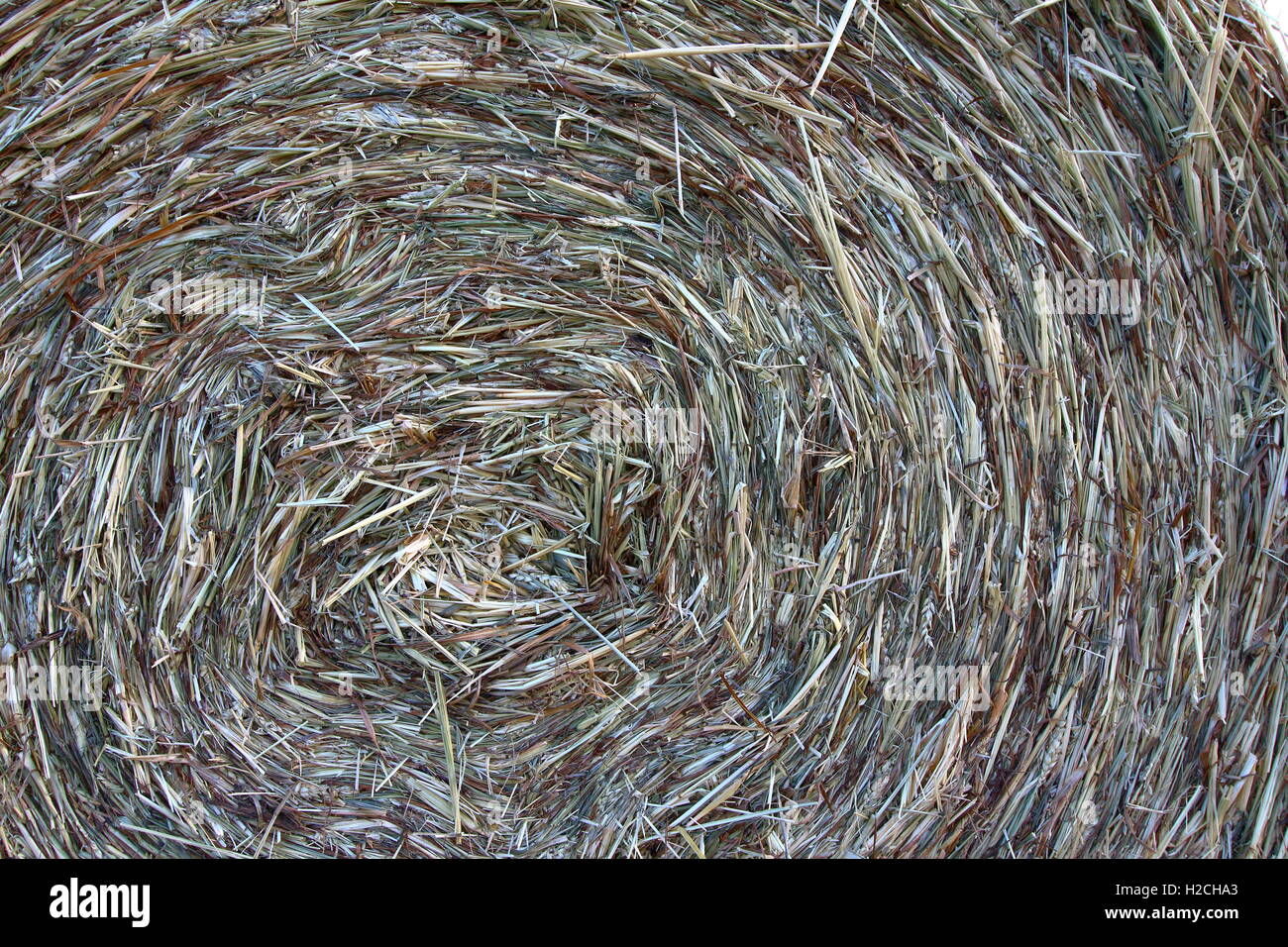 Gold bale hi-res stock photography and images - Alamy