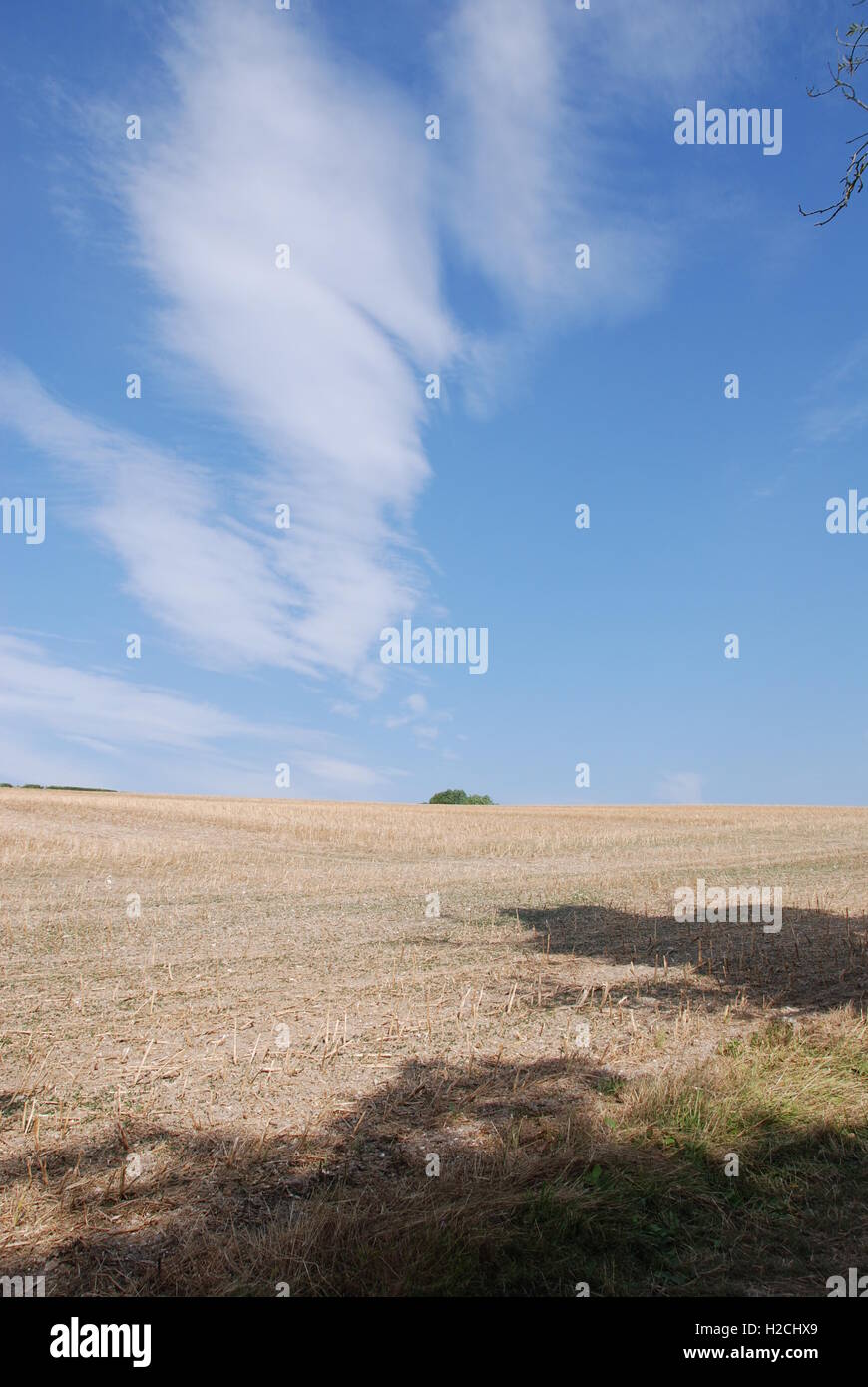 Field and sky Stock Photo - Alamy