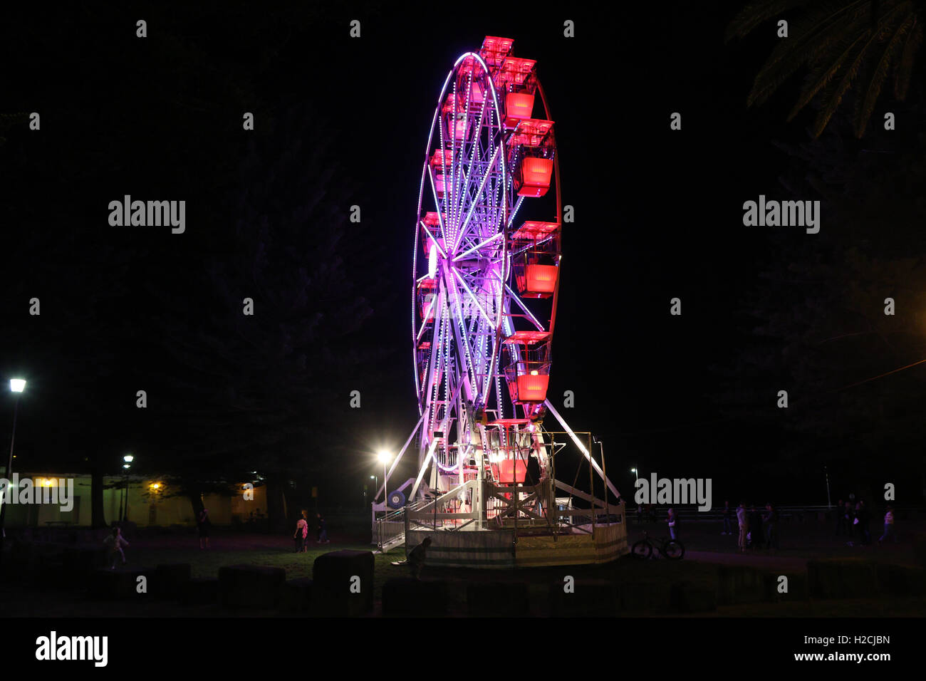 Ferris wheel lit up at night at Dunningham Park, Cronulla, 25kms south ...