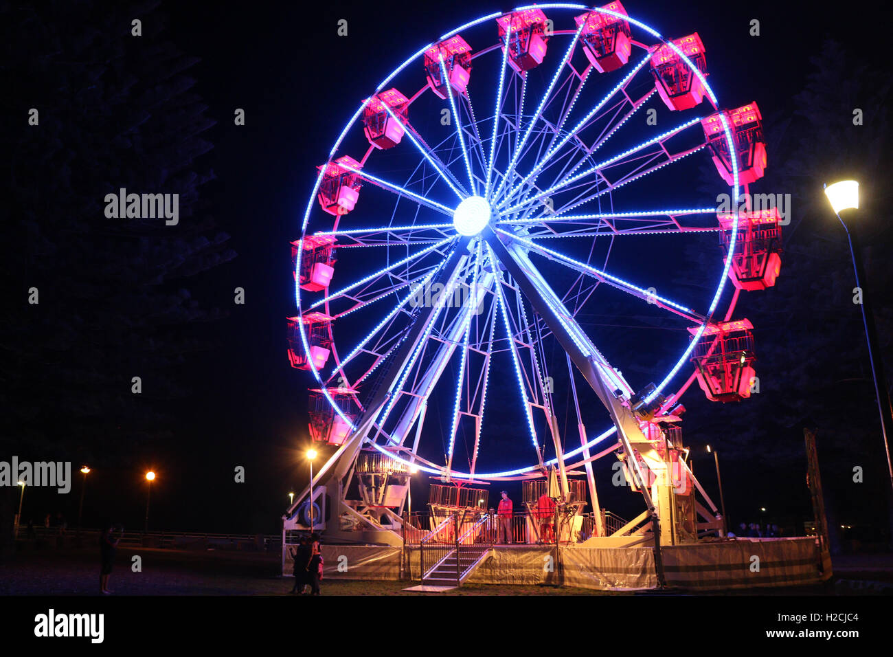 Ferris wheel lit up at night at Dunningham Park, Cronulla, 25kms south ...