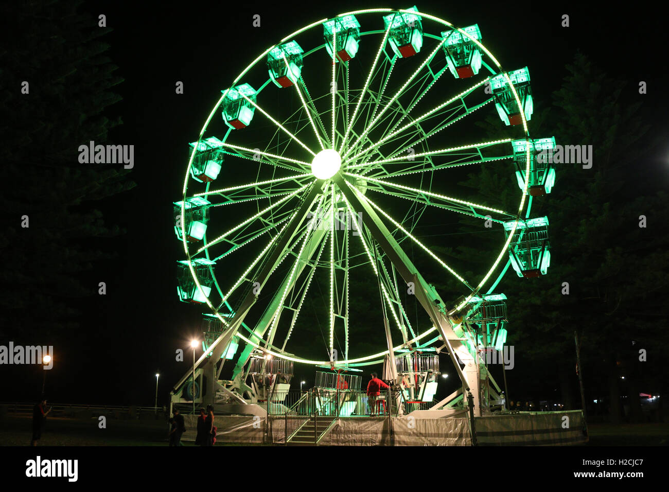 Ferris wheel lit up at night at Dunningham Park, Cronulla, 25kms south ...