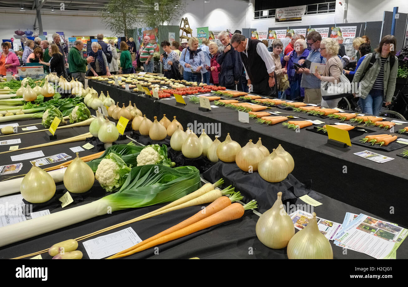 Visitors viewing winning exhibits at the Vegetable Competition ...