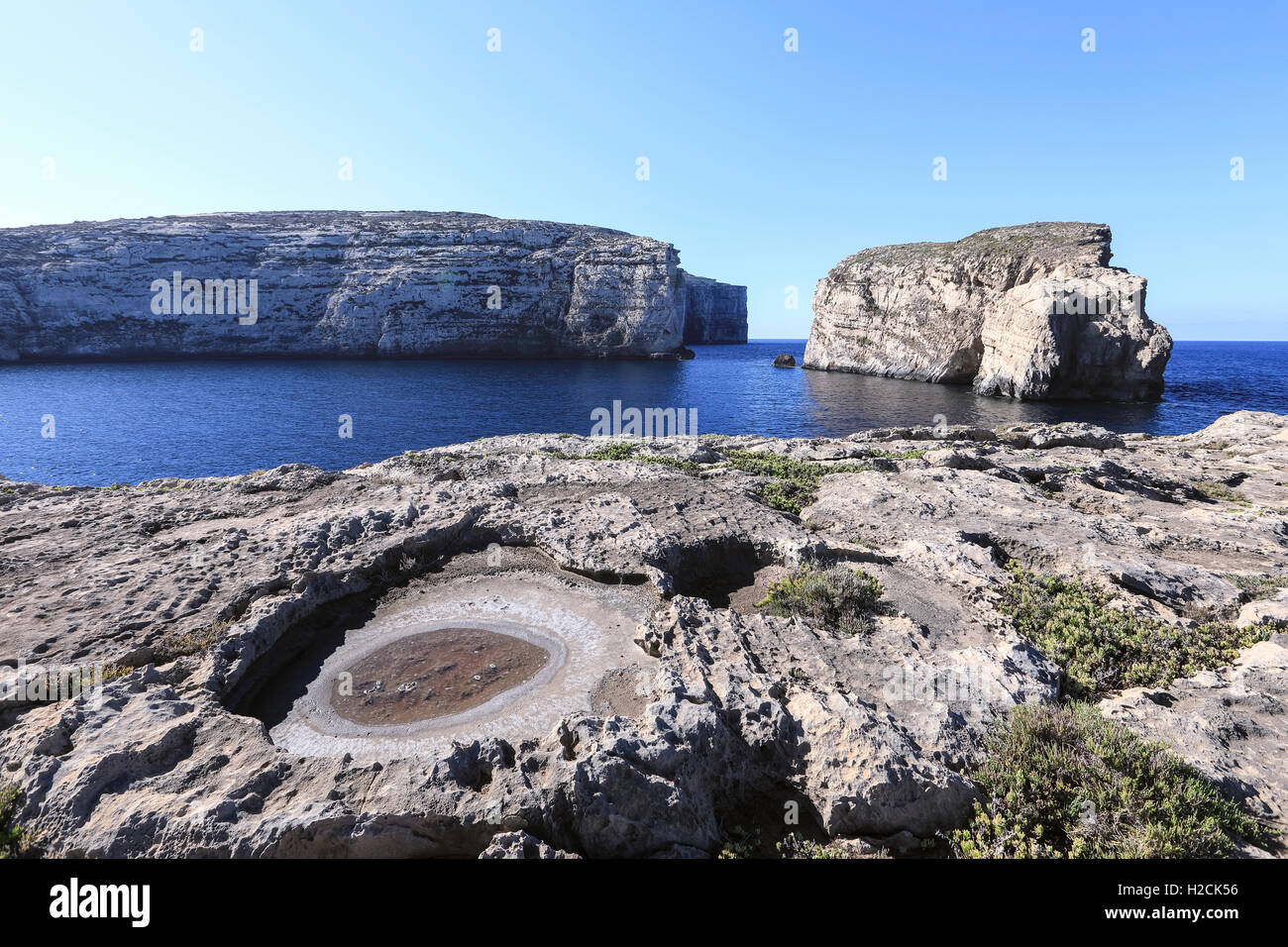 Rock with fungus hi-res stock photography and images - Alamy