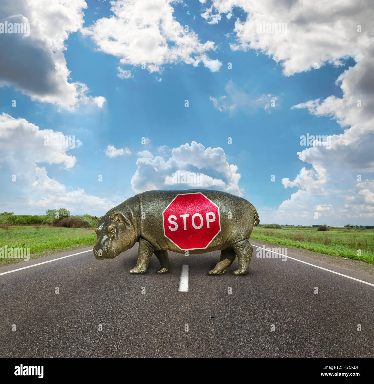 Hippo point hi-res stock photography and images - Alamy