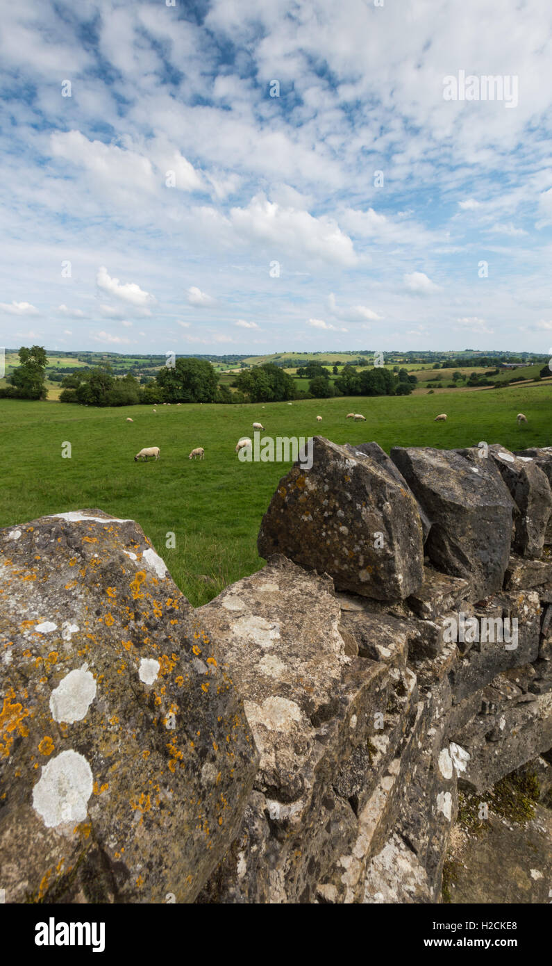 A countryside scene with a stone wall and sheep in a field, near ...