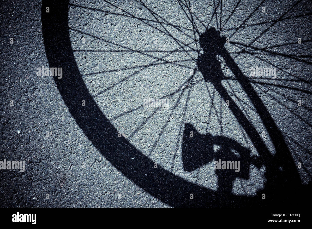 Shadow on street of wheel of a bicycle Stock Photo - Alamy