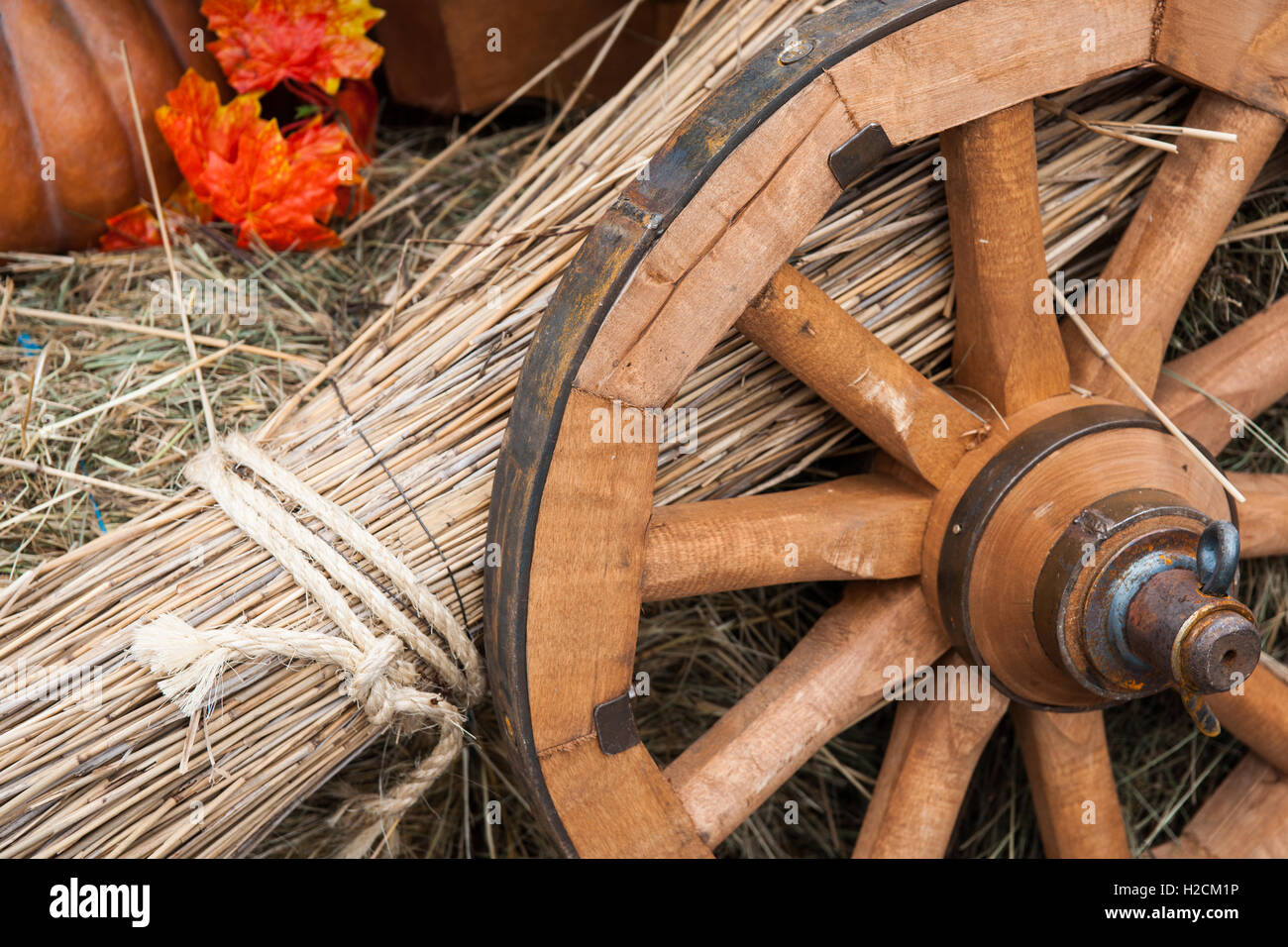 Straw wisp hi-res stock photography and images - Alamy