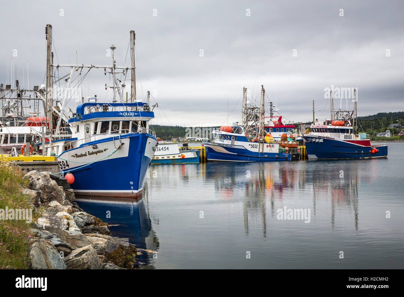 Fishing boats in the harbor at Harbour Grace, Newfoundland and Labrador ...