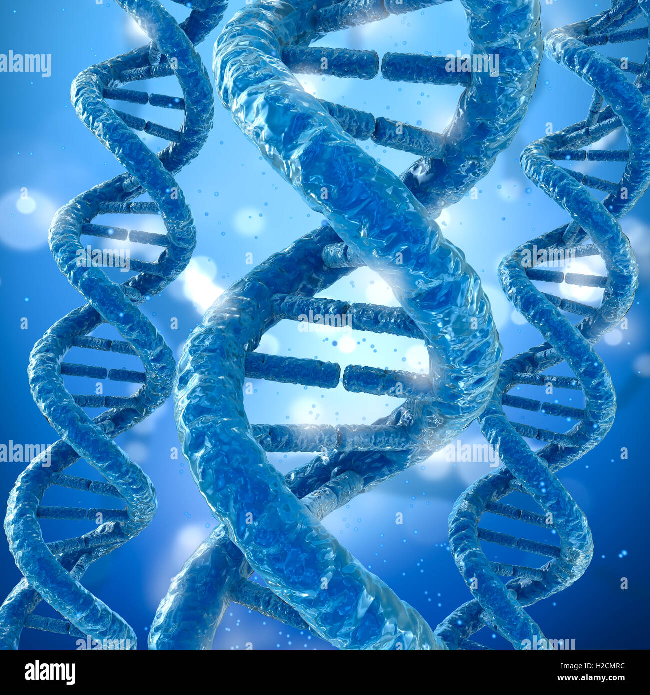 Accurate dna model hi-res stock photography and images - Alamy