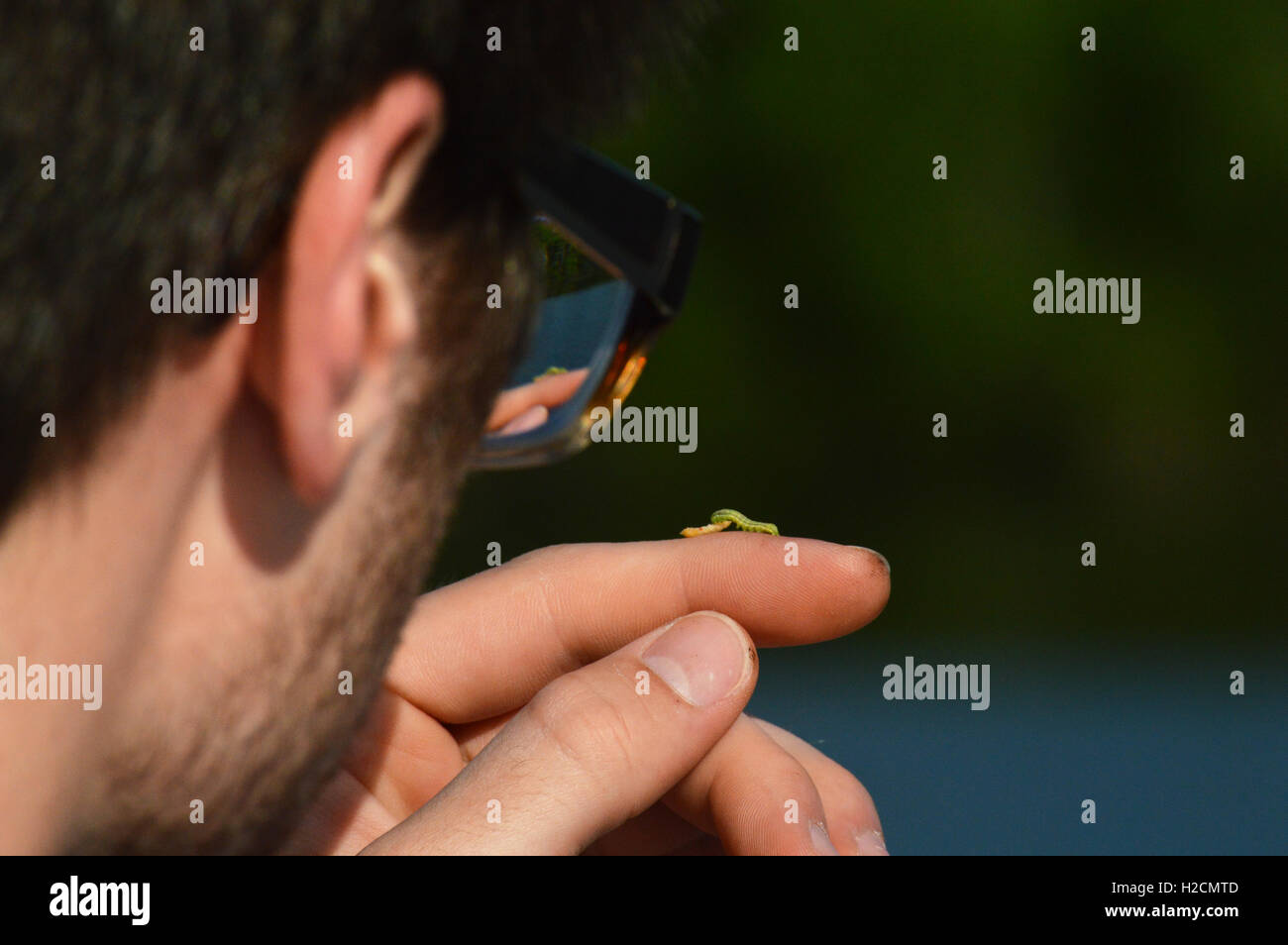 Inch Worm on FInger Stock Photo - Alamy
