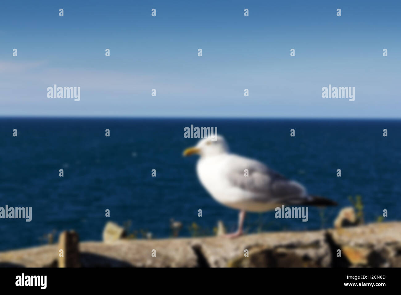 Animal looking over wall hi-res stock photography and images - Alamy