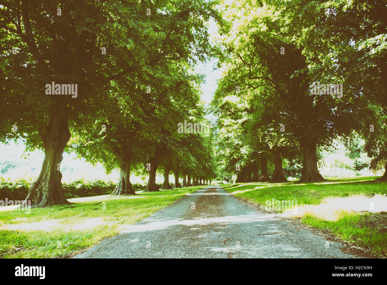 Sides of the path hi-res stock photography and images - Alamy