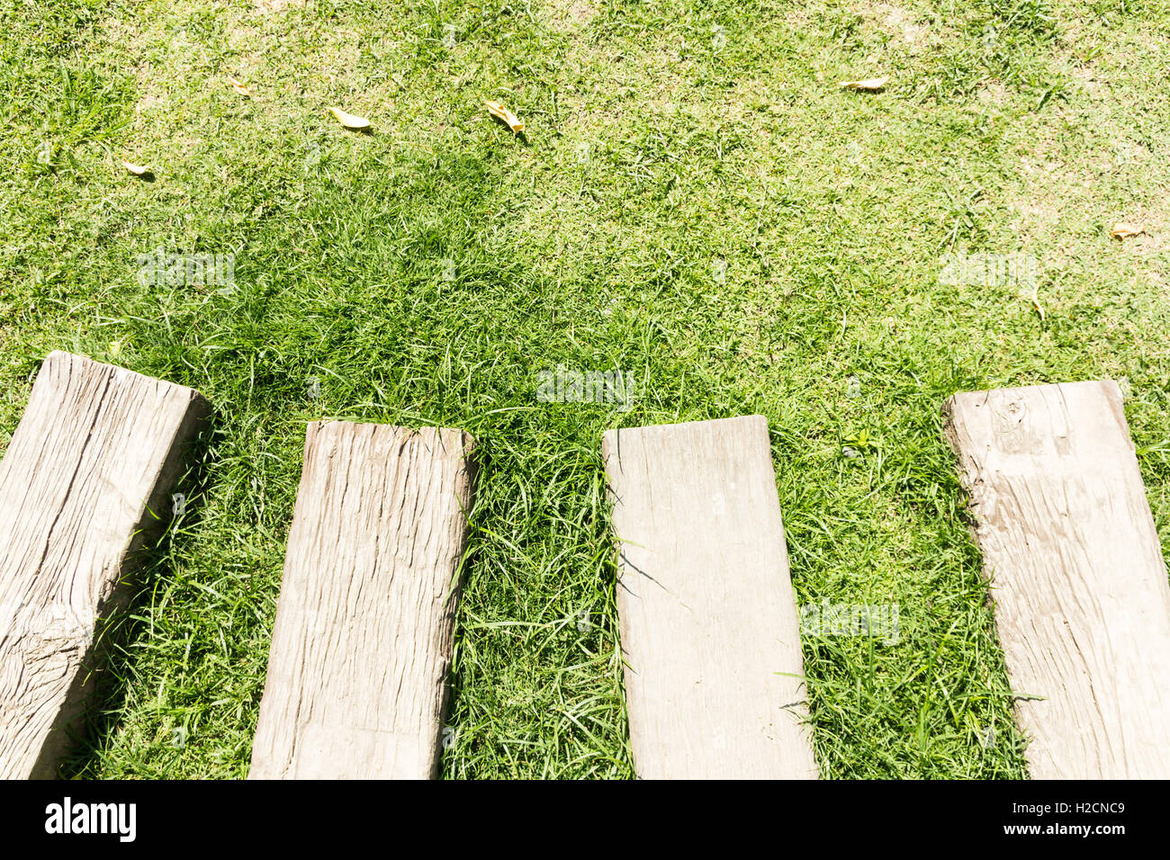 Stone footpath in lawn field Stock Photo - Alamy