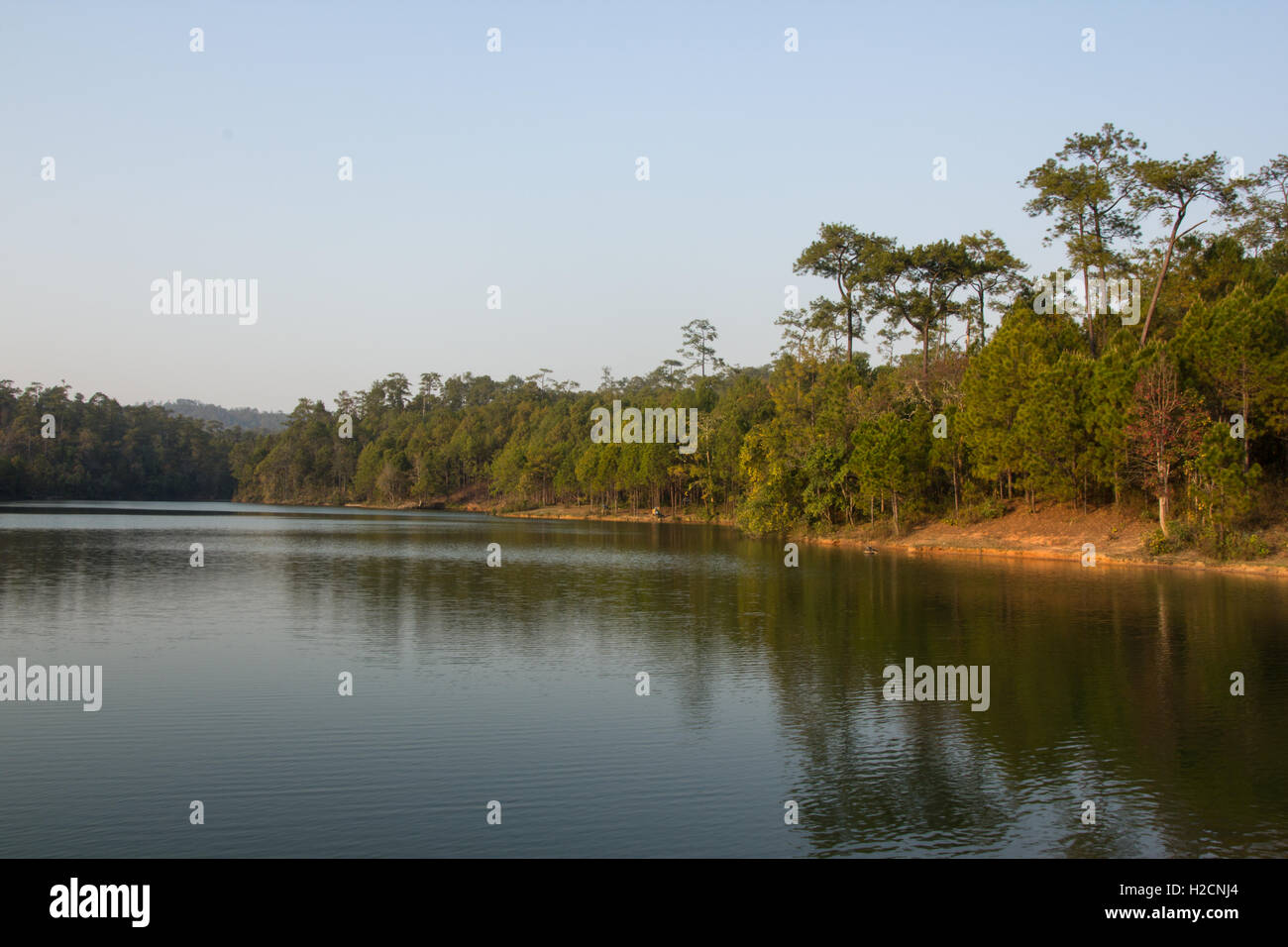 Beautiful landscape on forest hi-res stock photography and images - Alamy