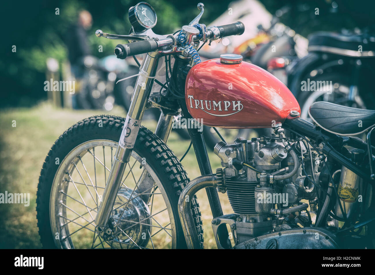 Custom Triumph grass track motorcycle at Malle, The Mile Racing event ...
