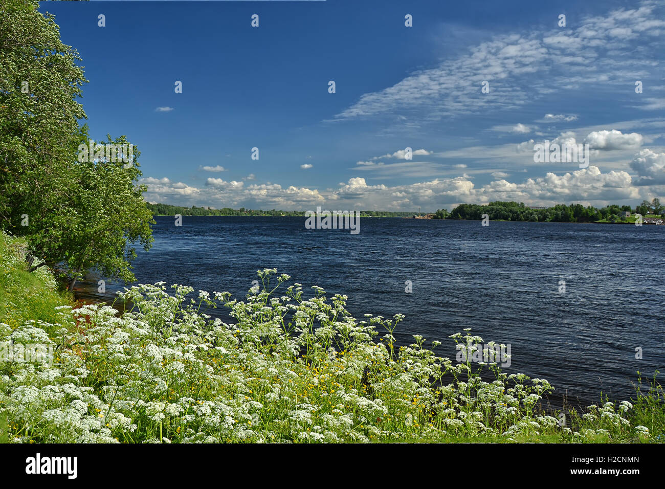 Windy summer day on the waterfront Stock Photo - Alamy