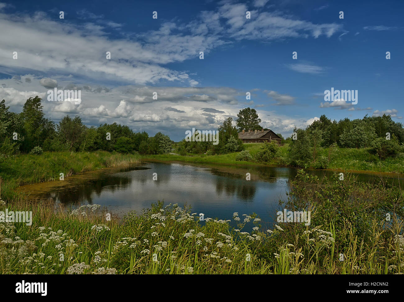 Windy summer day on the waterfront Stock Photo - Alamy