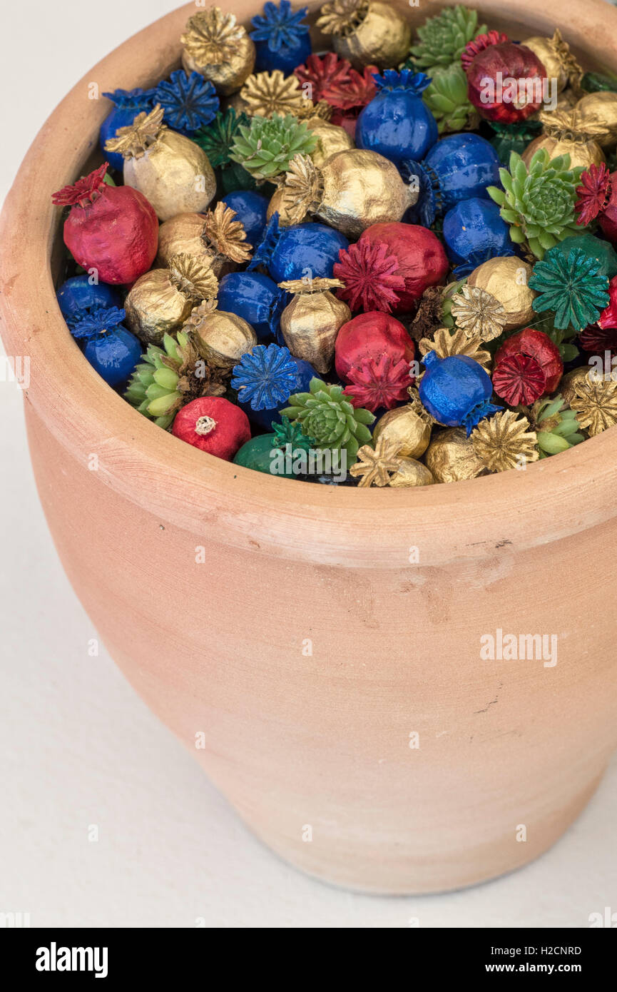 Poppy Seed Pods High Resolution Stock Photography and Images - Alamy