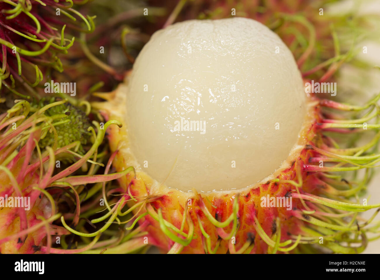 Fresh rambutan fruit hi-res stock photography and images - Alamy