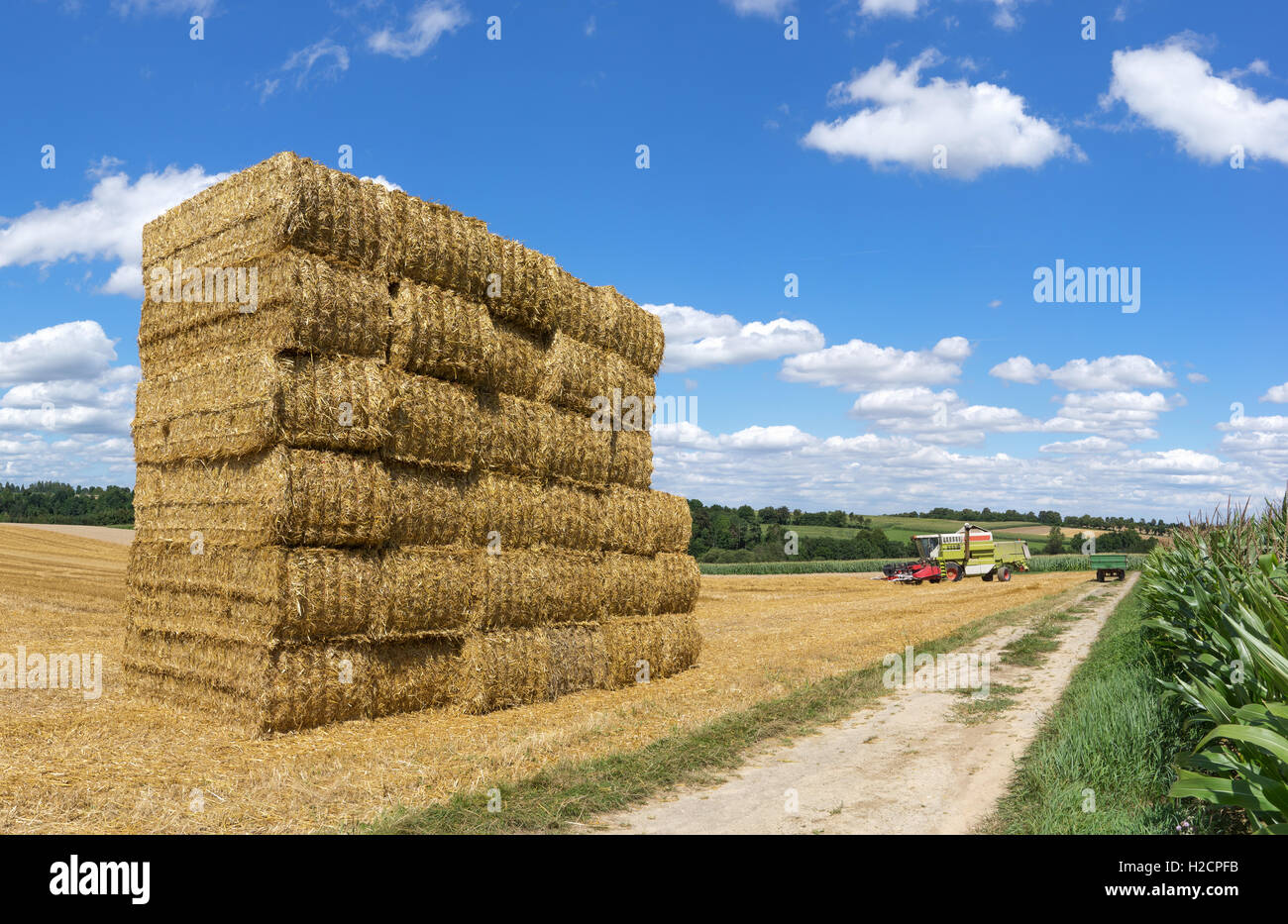 Stacked straw bales on a field Stock Photo - Alamy