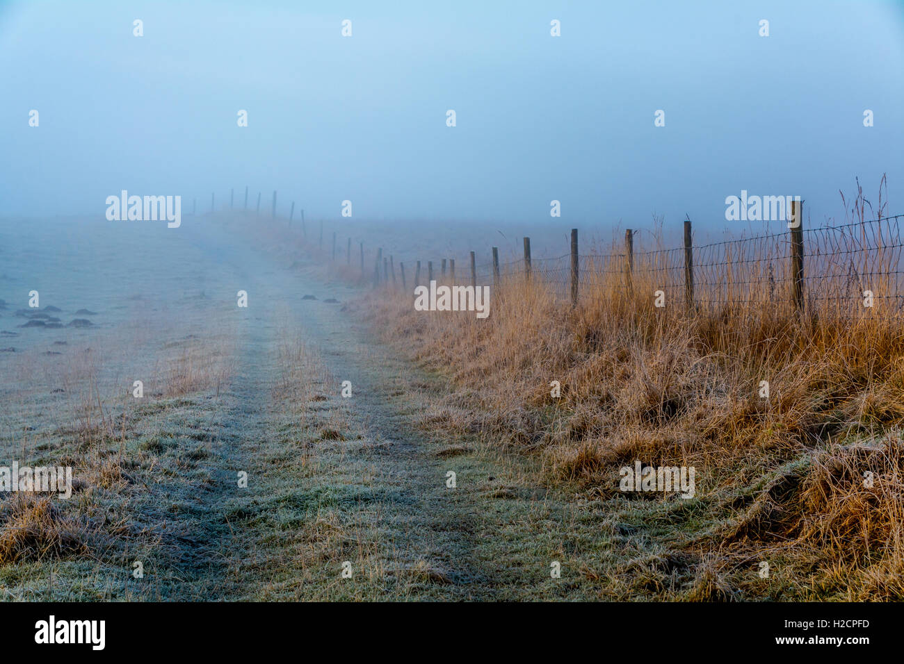 Frosty and foggy November day in the countryside Stock Photo - Alamy