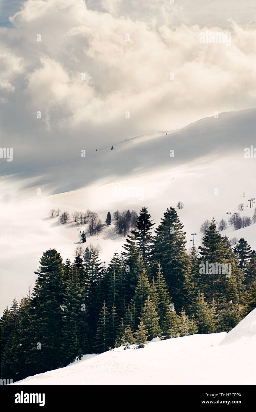 Winter Landscape with Snow and Trees Stock Photo - Alamy