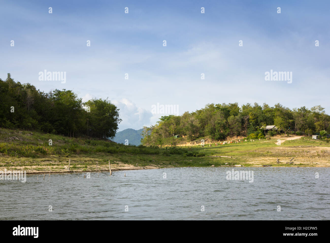 Landscape of river and forest at srinakarin dam thailand Stock Photo ...