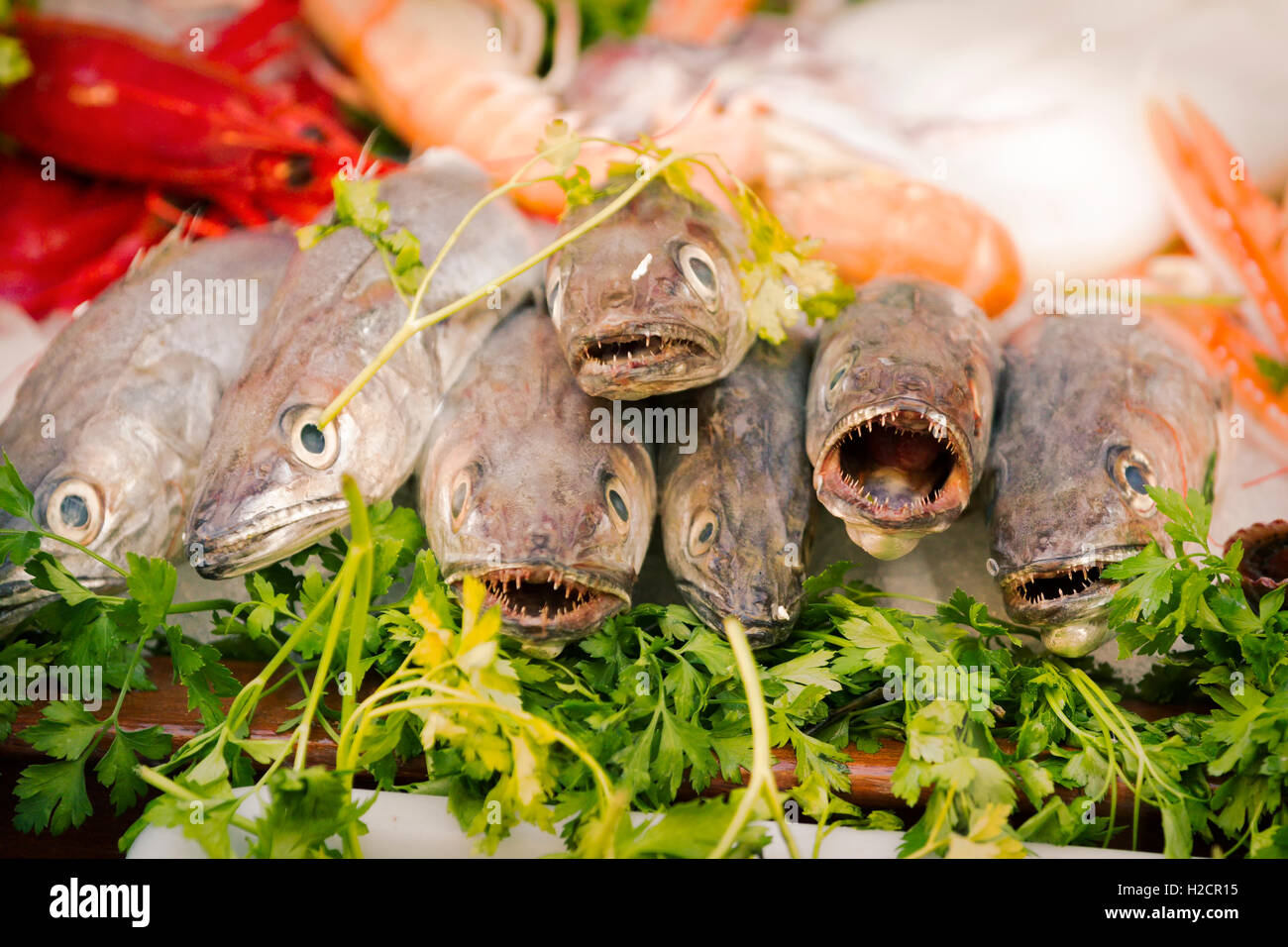Fresh produce in seafood market Stock Photo - Alamy