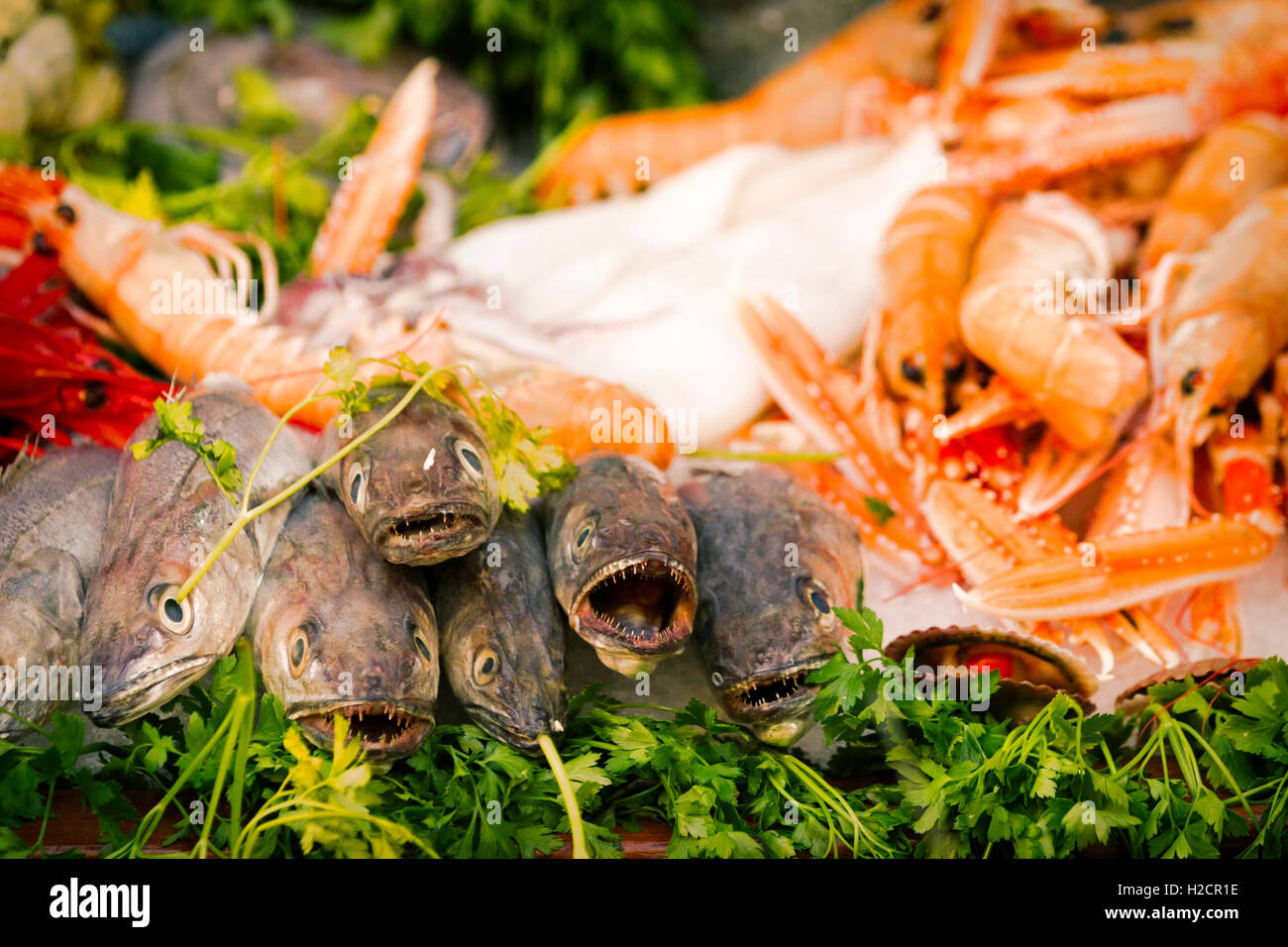Fresh produce in seafood market Stock Photo - Alamy