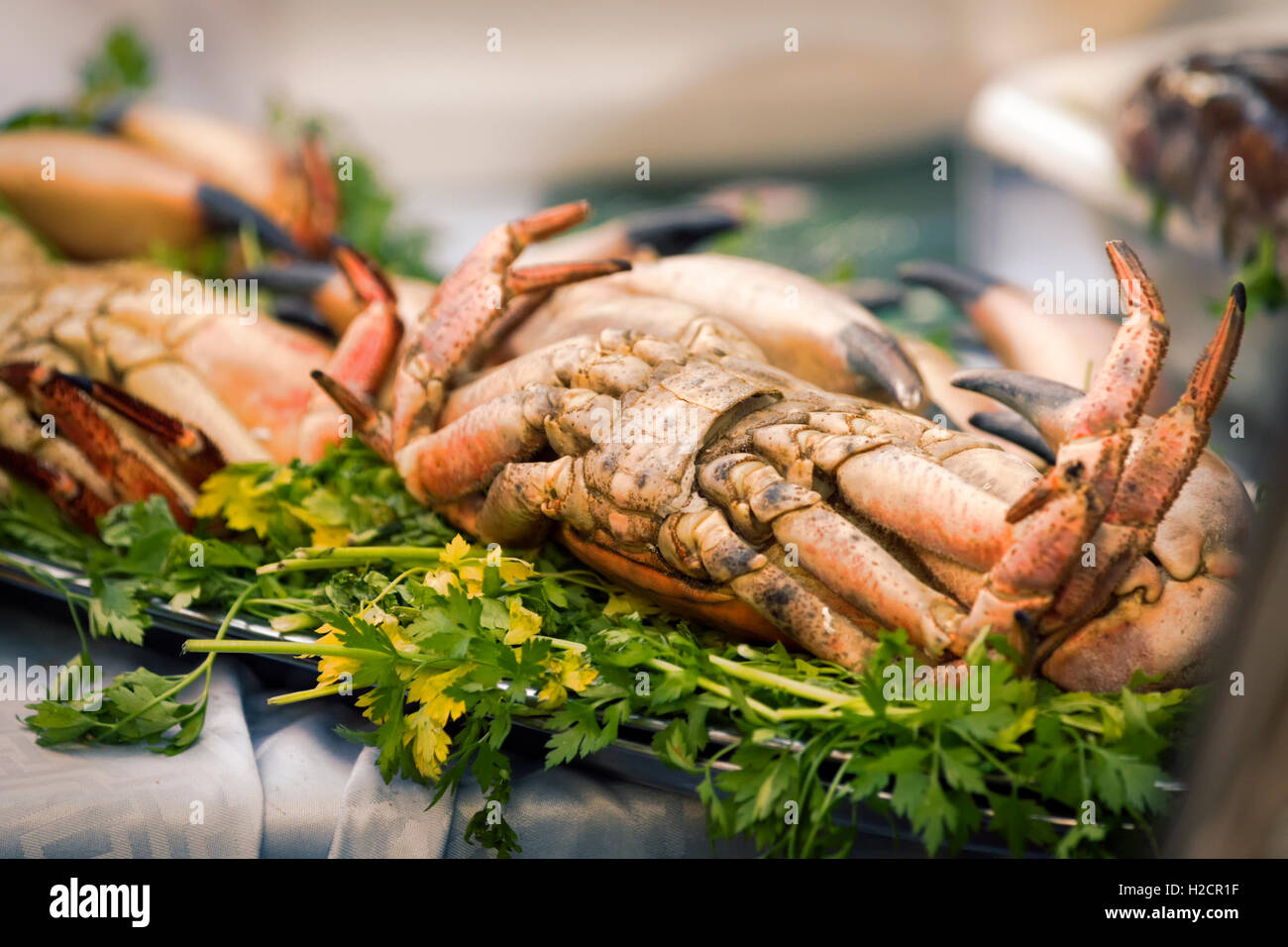 Oceanic produce hi-res stock photography and images - Alamy