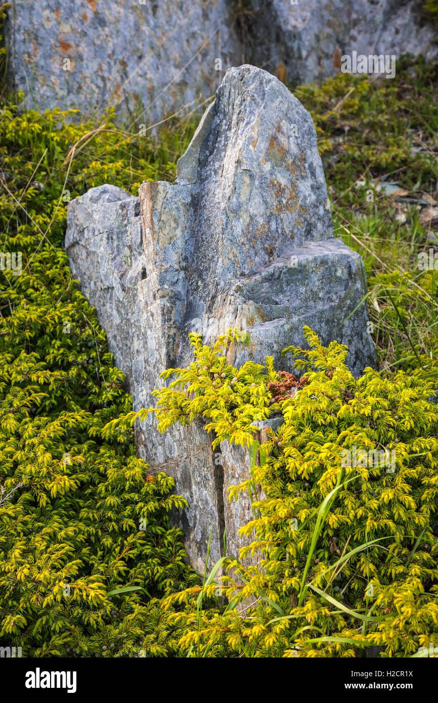 Keels newfoundland canada hi-res stock photography and images - Alamy
