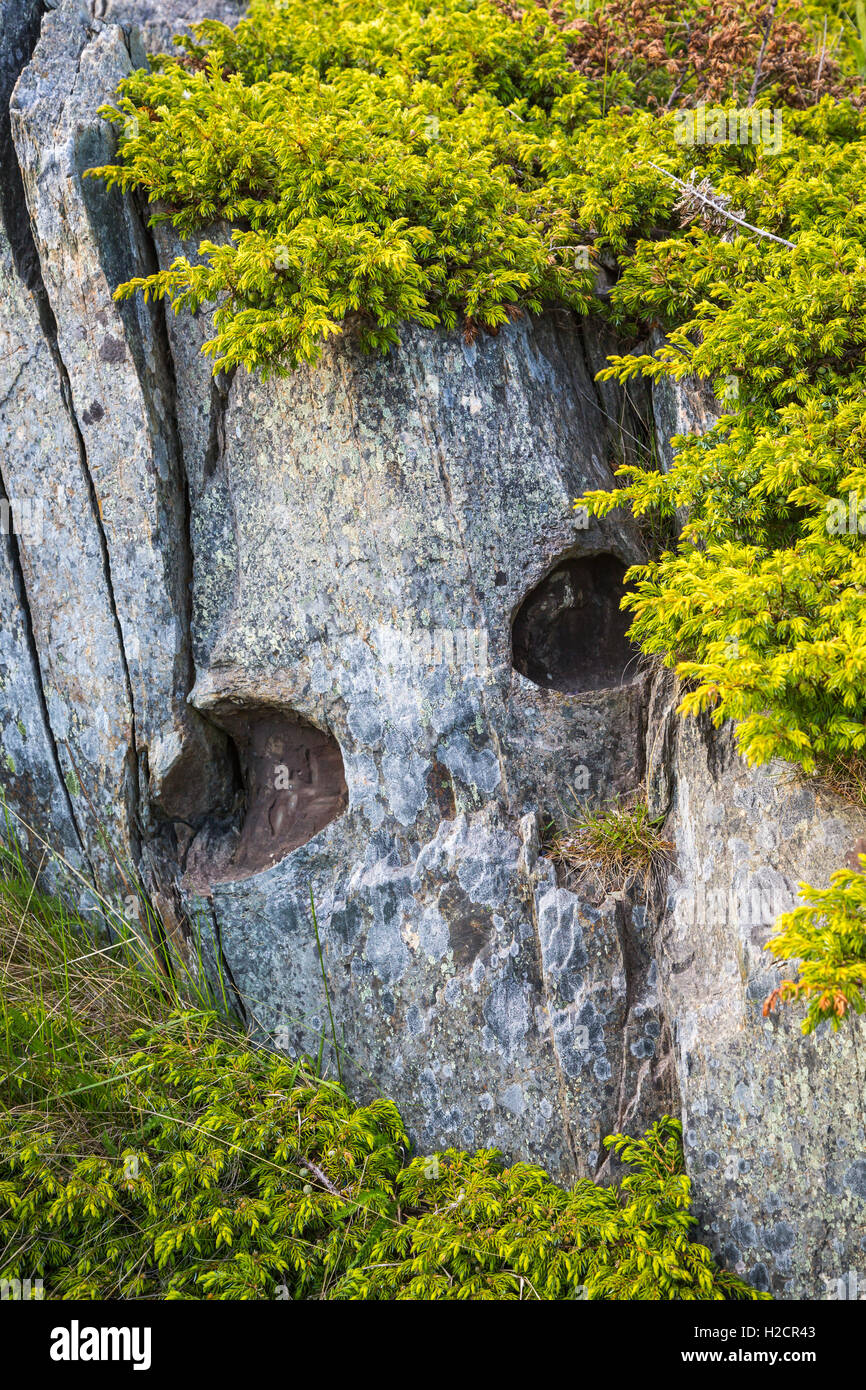 The Devil's Footprints near Keels, Newfoundland and Labrador, Canada ...