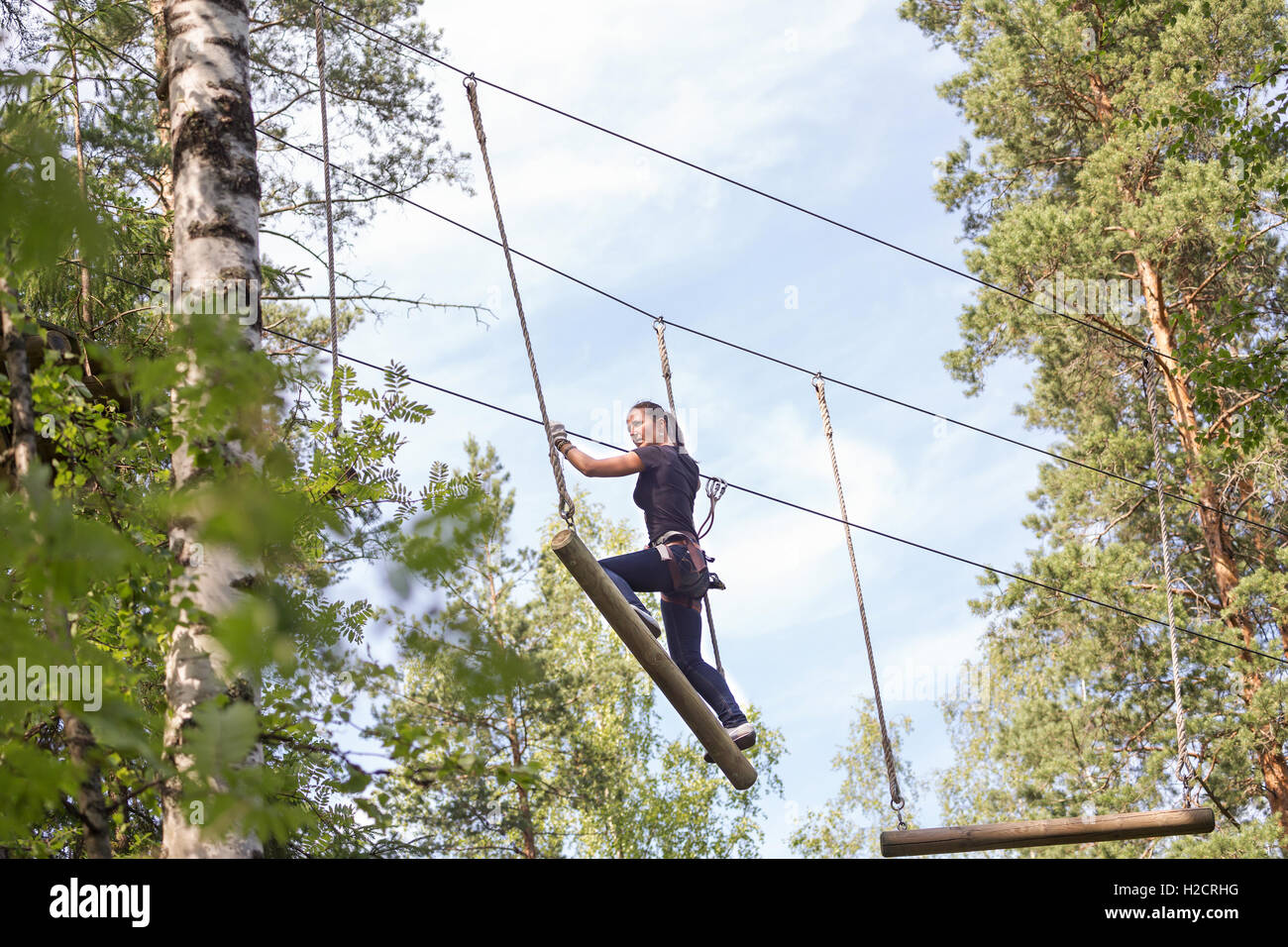 Young brave woman climbing in a adventure rope park Stock Photo - Alamy
