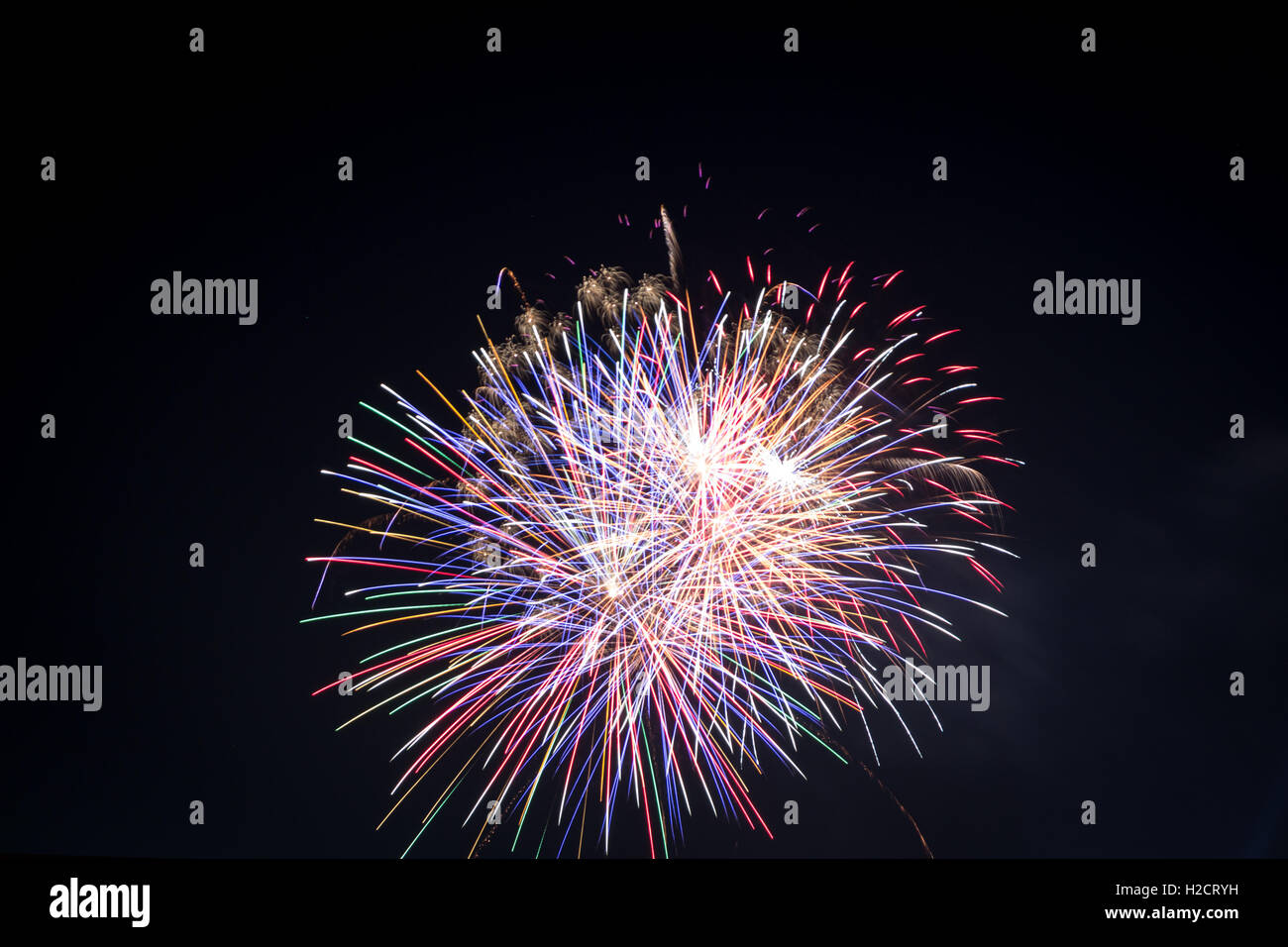 colorful fireworks in the night Stock Photo - Alamy