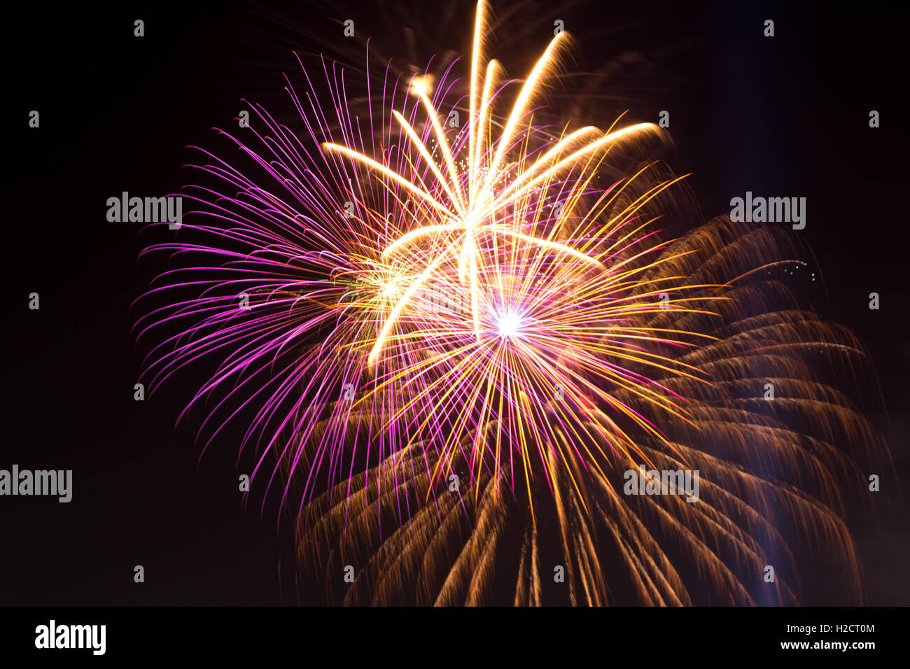 colorful fireworks in the night Stock Photo - Alamy