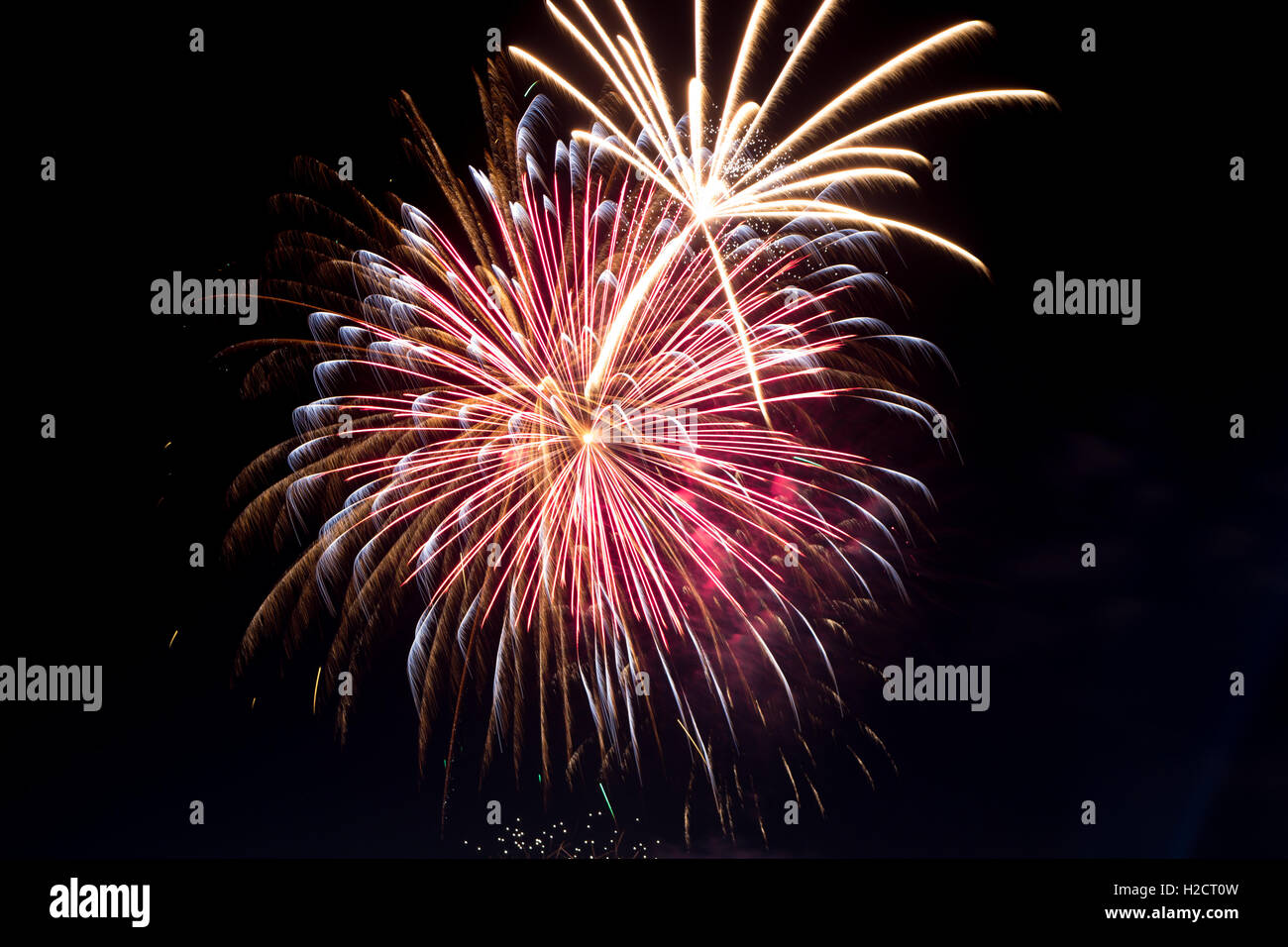 colorful fireworks in the night Stock Photo - Alamy