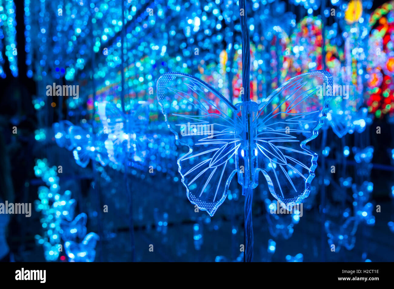 The three-dimensional light exhibition in front of City Hall Bangkok ...