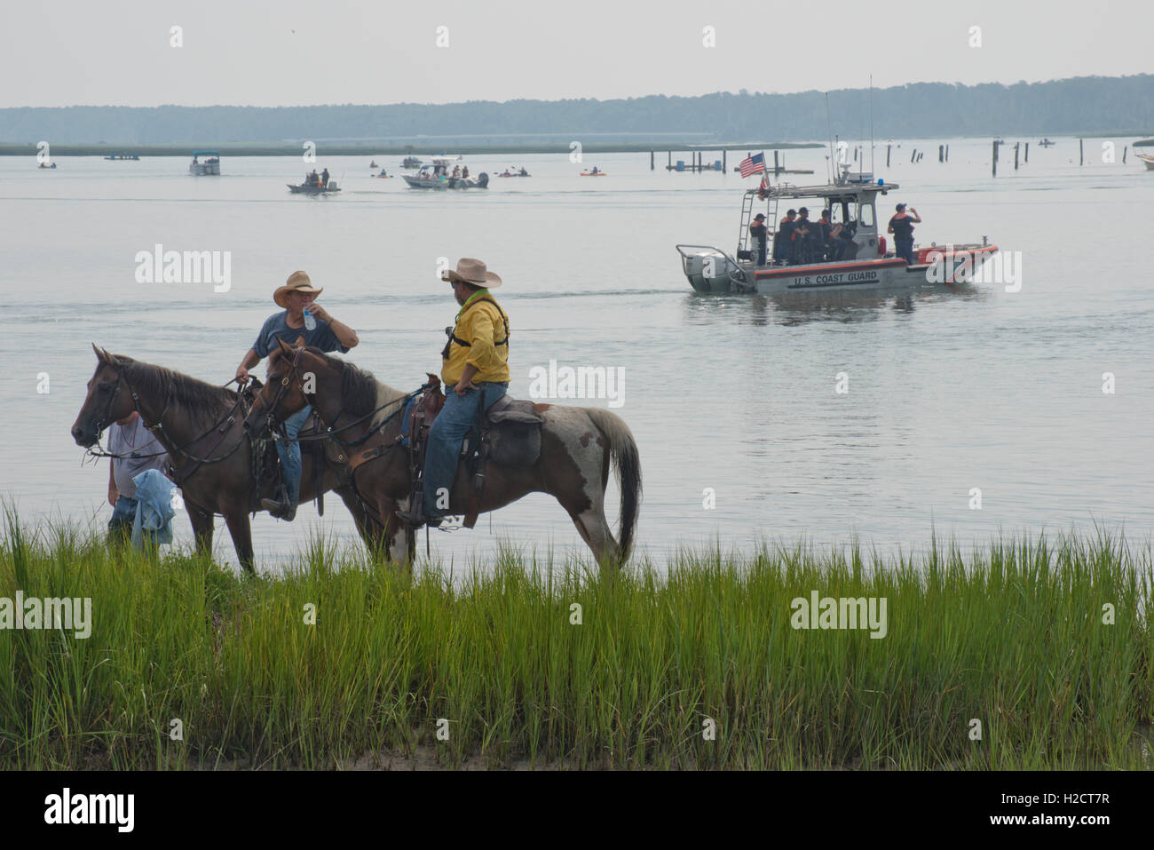 Saltwater Cowboys and their horses take a break from penning and ...