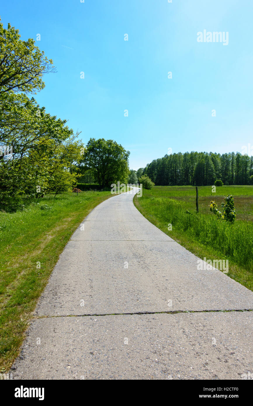 Winding country road through green fields and forests in the German ...