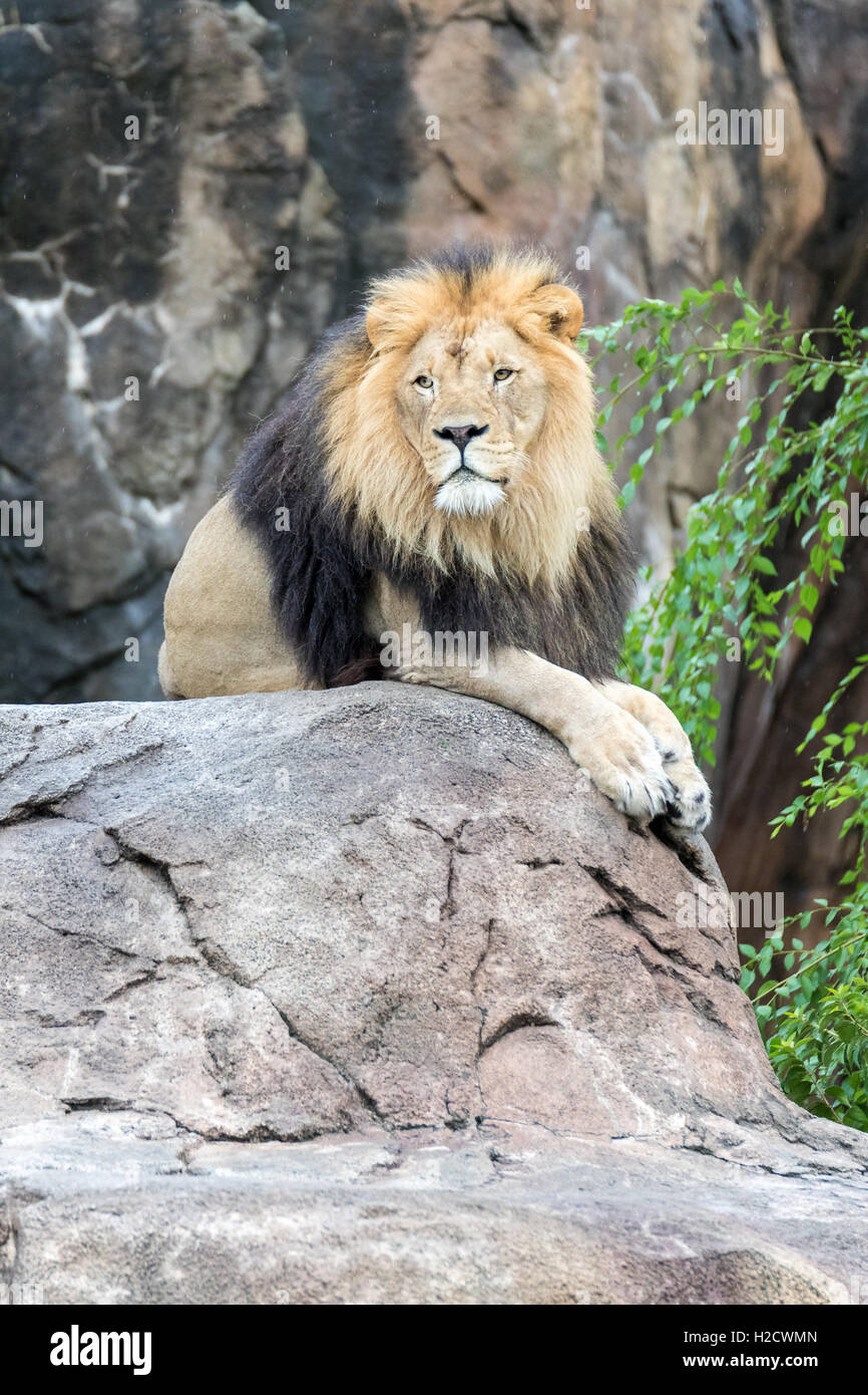 Big rock face hi-res stock photography and images - Alamy