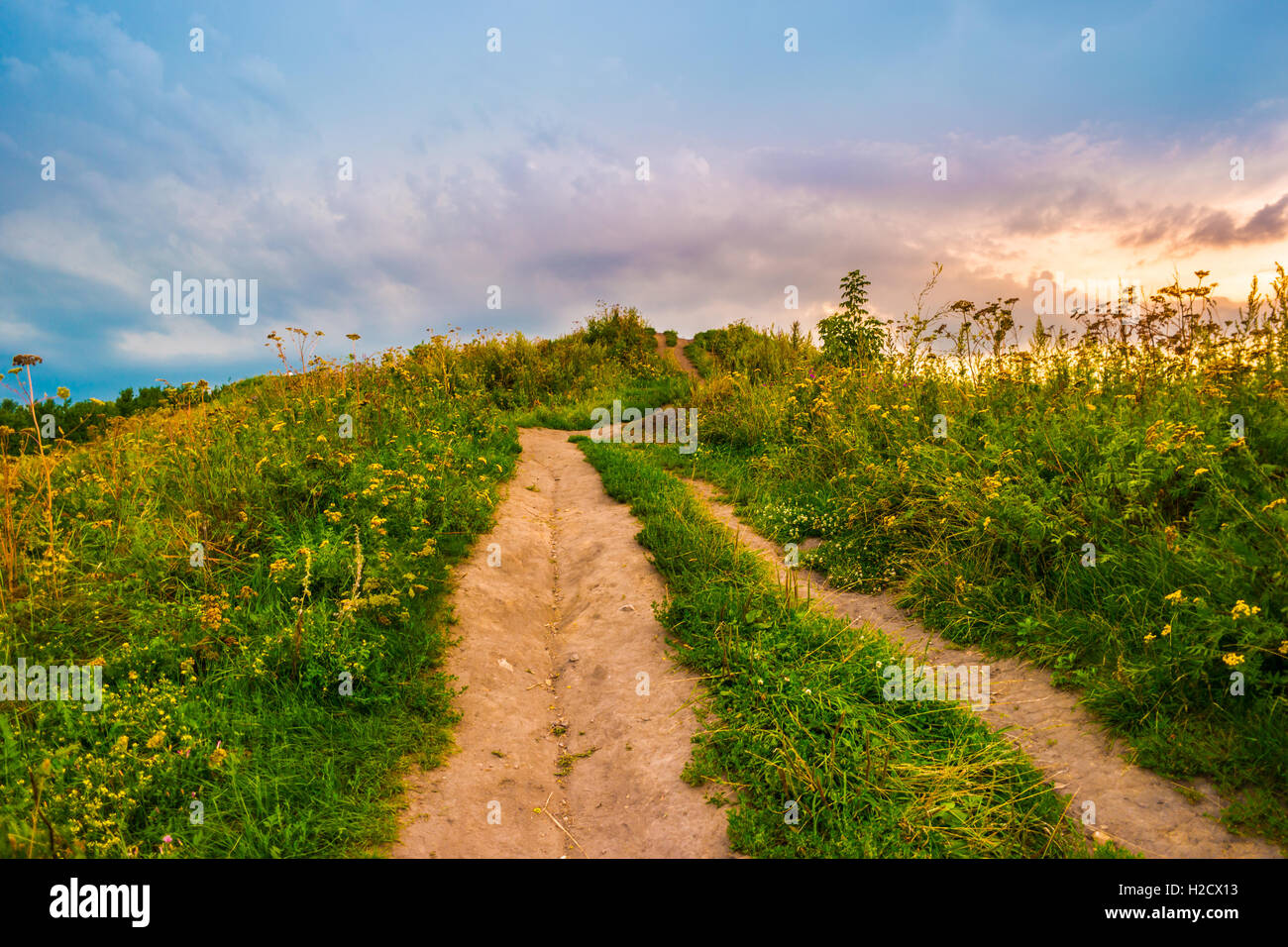 Pathway on a hill with wildflowers Stock Photo - Alamy