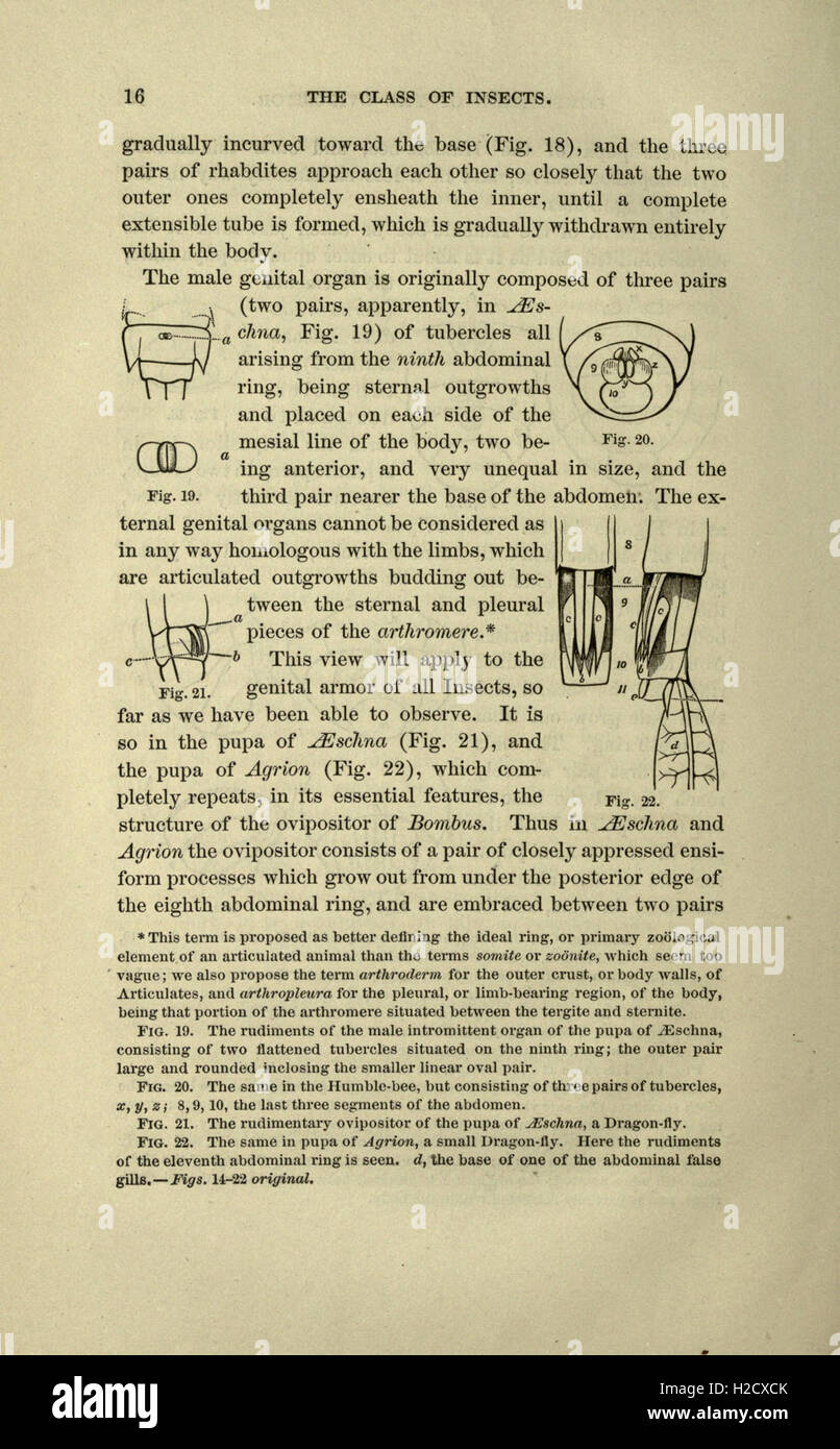 This guide provides a comprehensive overview of insect biology ...