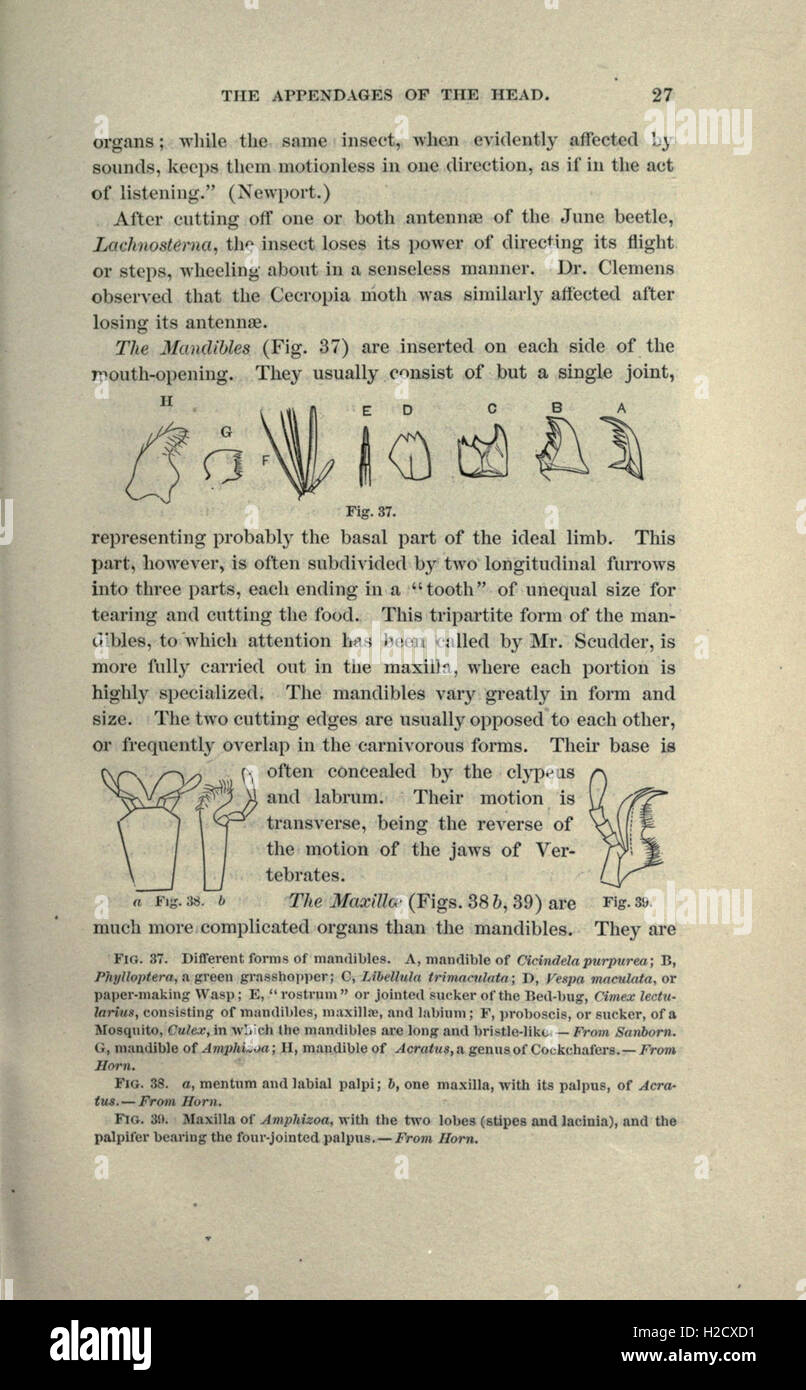 This guide provides an introduction to the study of insects, covering ...