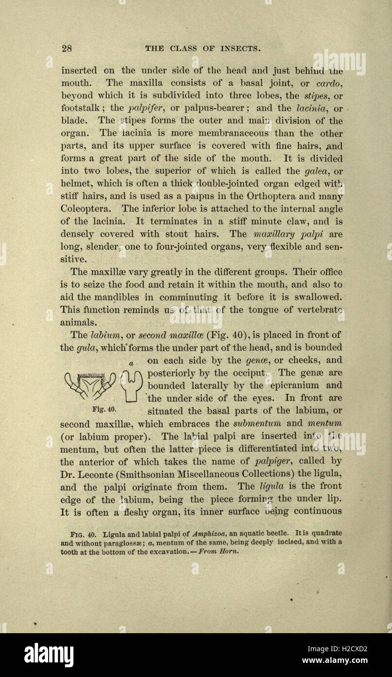 This guide provides a comprehensive overview of insect studies ...