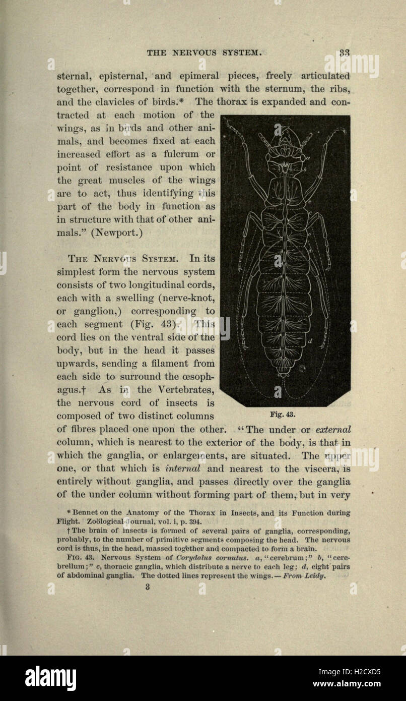This guide offers a comprehensive overview of insect biology ...